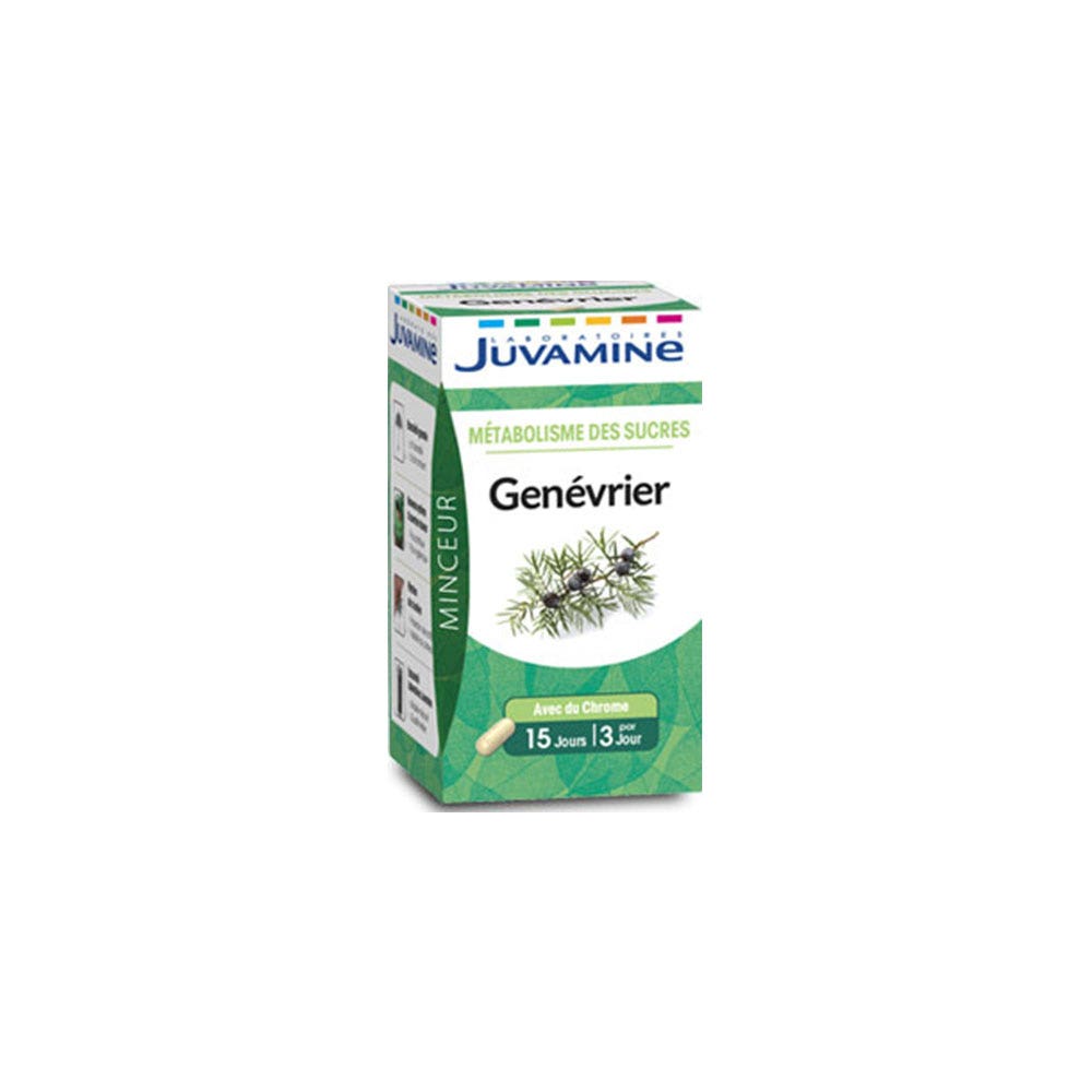 Juvamine Juvamine Controle Du Sucre 45 Gelules - Easypara