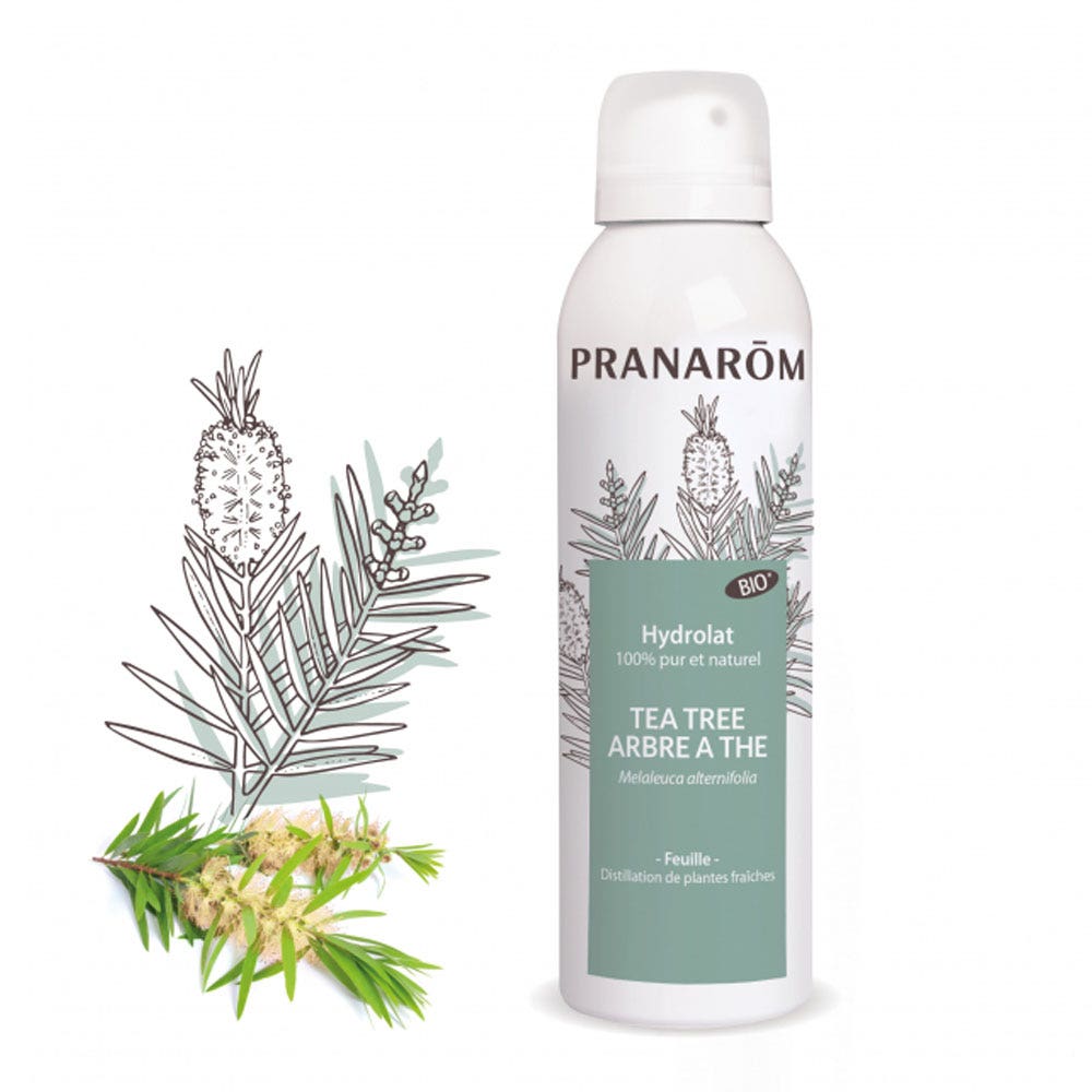 Pranarôm Les Hydrolats Tea Tree Arbre à Thé Bio Peaux Abîmées 150ml ...